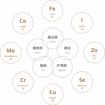 8 Key Body Mineral Balance | Meiziya International